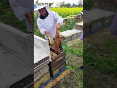 Wholesale 100% Natural Bee Honey High quality Pure Raw Organic Traditional Herb Honey