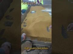 Atacado 100% natural pólen de abelha em pó cru de alta qualidade orgânico mix pólen em pó