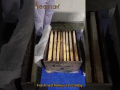 Natural food Fresh Mixed Pollen Raw Bee Pollen Low Fat for Humans or Bees