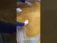 500g MGO100+ Mel de Manuka Mel de Abelha Natural 100% Próprio e Natural Mel de Abelha Nova Zelândia Mel puro e cru