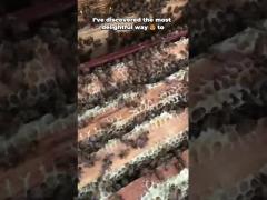 Miele di api naturale puro, senza residui, miele multiflore, 100% miele crudo puro