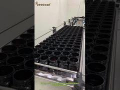 UMF 20+ Miele di Manuka grezzo Miele d'api naturale proveniente dalla Nuova Zelanda 250g cura giornaliera Miele d'api naturale