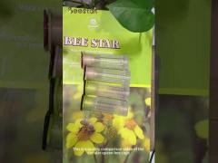 Cage di plastica regina regina apicoltura sistema di allevamento multifunzionale per l'apicoltura
