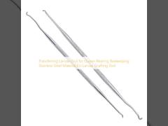 Transferring Larvae Tool for Queen Rearing Beekeeping Stainless Steel Material EU Larvae Grafting Tool