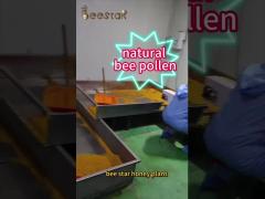 多花生 生蜂花粉粒 25kg カートン食品サプリメント