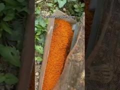 Granulado de pólen de abelha natural de várias flores 25 kg