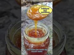 Bee Star 100% Natural Oak Honey Pure Raw Honey Organic Natural Bee Honey