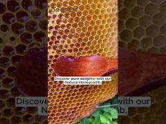 Bulk No Additive Snow Cream Honey Crystallization Honey Crystal Honey Natural Bee Honey