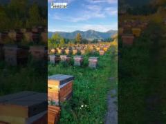 The entire mountain scenery has been transformed into a sweet and refreshing taste on the tip of the