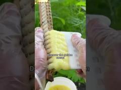 If you know the benefits of royal jelly to the human body,you will surely like it.