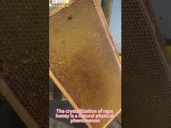 A Closer Look: Bulk No Additive Snow Cream Honey Crystallization Honey Crystal Honey Natural  Honey
