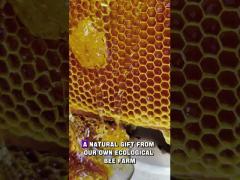 A Closer Look: New Arrival Natural A natural gift from our own ecological bee farm