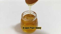 Dragon Plant Honey
