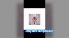 Beekeeping Queen Marking Discs