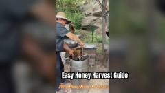 Honey Harvest Time | Beekeeping Honey Extraction