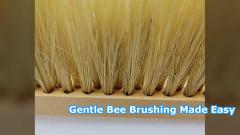 Professional Double Row Bee Brush for Gentle Hive Inspection