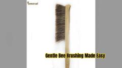 Best Double Row Horsehair Bee Brush for Gentle Beekeeping