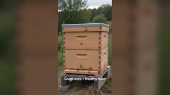 Easy Honey Harvesting With The Flow Hive Plus System