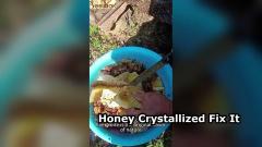 The beekeepers are harvesting honey at our apiary.