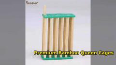 Best Bamboo Queen Bee Cages for Efficient Queen Rearing