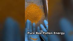 Pure Bee Pollen Natural Energy Booster