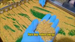 Pure Bee Pollen Natural Energy Boost