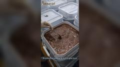 Honey Powder: Pure Sweetness Freeze Dried