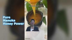 Pure Manuka Honey High MGO form New Zealand