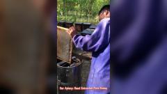 Pure Honey From Our Own Bee Farm