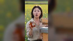Premium Pure Longan Honey Natural Raw Bulk Supply