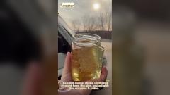 Pure White Acacia Honey Natural Raw Sweetness