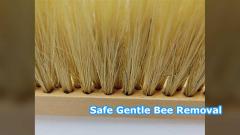 Best Double Row Bee Brush for Gentle Hive Inspections