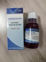 Quality Amoxicillin Dry Suspension 250MG / 5ML 100ML Treatment of Infections for sale