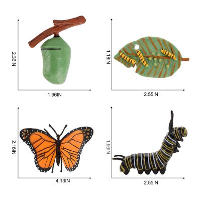 Cina Realistic 4 PCS Farfalla Ciclo di vita degli animali Insecto Crescita Modello Giocattoli Festa Favoriti Gioco per ragazzi Ragazze Bambini in vendita