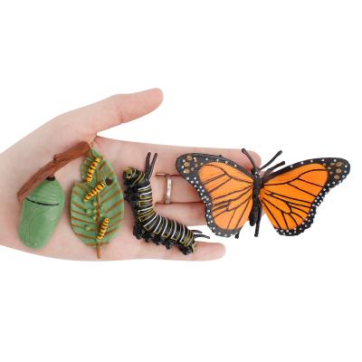 Cina Realistic 4 PCS Farfalla Ciclo di vita degli animali Insecto Crescita Modello Giocattoli Festa Favoriti Gioco per ragazzi Ragazze Bambini in vendita