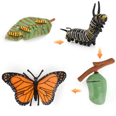 Cina Realistic 4 PCS Farfalla Ciclo di vita degli animali Insecto Crescita Modello Giocattoli Festa Favoriti Gioco per ragazzi Ragazze Bambini in vendita