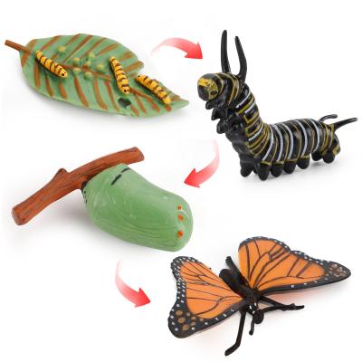 Cina Realistic 4 PCS Farfalla Ciclo di vita degli animali Insecto Crescita Modello Giocattoli Festa Favoriti Gioco per ragazzi Ragazze Bambini in vendita