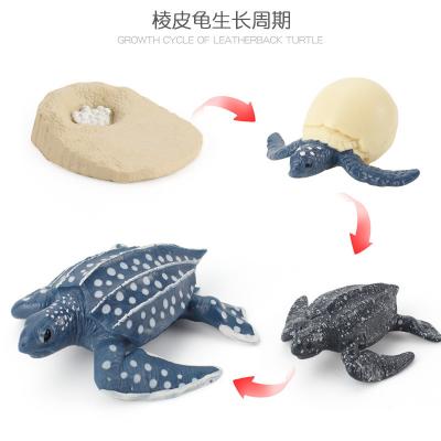 Cina Leatherback Life Cycle Figure Model Toy per ragazzi ragazze bambini in vendita