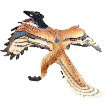 Cina Giocattolo di modello realistico di figura di dinosauro Archaeopteryx Figureine - Gioco didattico per il gioco immaginativo in vendita