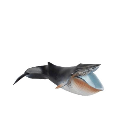 Cina Sculture di animali oceanici Set per bambini Realistic Educational Play Toy Collection in vendita