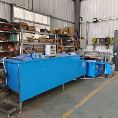 China Anti Loose Screw Glue Coating Machine Double Track Screw Processing Machine for sale