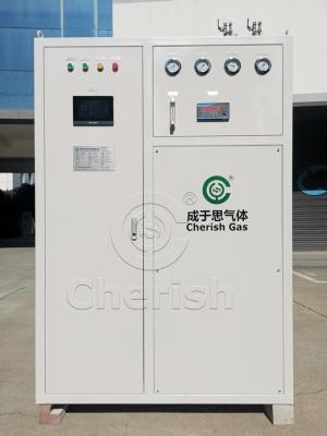 China Automatic Adjustment Nitrogen Purification System For Laboratory And PSA Applications for sale