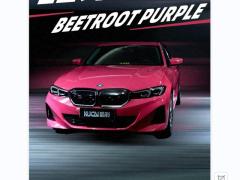 TPU-Beetroot Purple