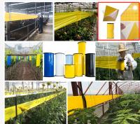 China Yellow Sticky Trap Making Machine / Flying Glue Trap Making Machine / Mouse Adhesive Automatic Pneumatic Provided for sale