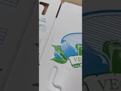Impressão de alta velocidade de Flexo de 4 cores que entalha a máquina cortando para as caixas vegetais do fruto da pizza