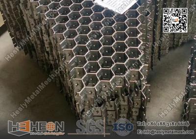 China 310S 2.0X20X50mm  Hex mesh for Refractory Lining | China Hexagonal Grid Factory for sale