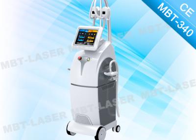 Cina Cryolipolysis verticale per la macchina grassa di rimozione di Gravidarum degli Striae successiva al parto in vendita