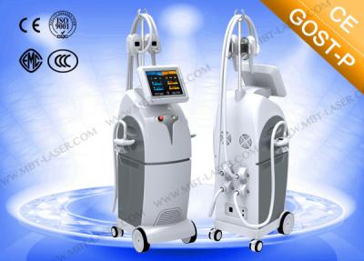 Cina Macchina grassa per la combustione grassa, gravidarum liscio di Cryolipolysis di rimozione di cavitazione degli striae in vendita