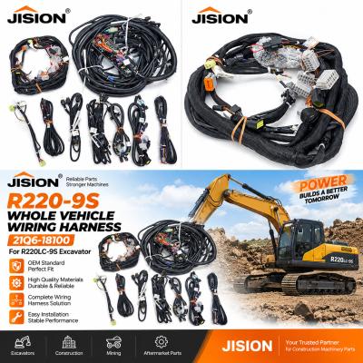 China 21Q6-18100 Whole Vehicle Wiring Harness for R220-9S R220LC-9S Excavator Complete Electrical Wiring Harness for sale