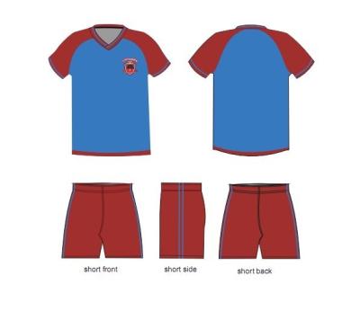 China Red Blue Competition Kids Soccer Uniforms With Name And Numbers , XS S M L XL XXL Size for sale